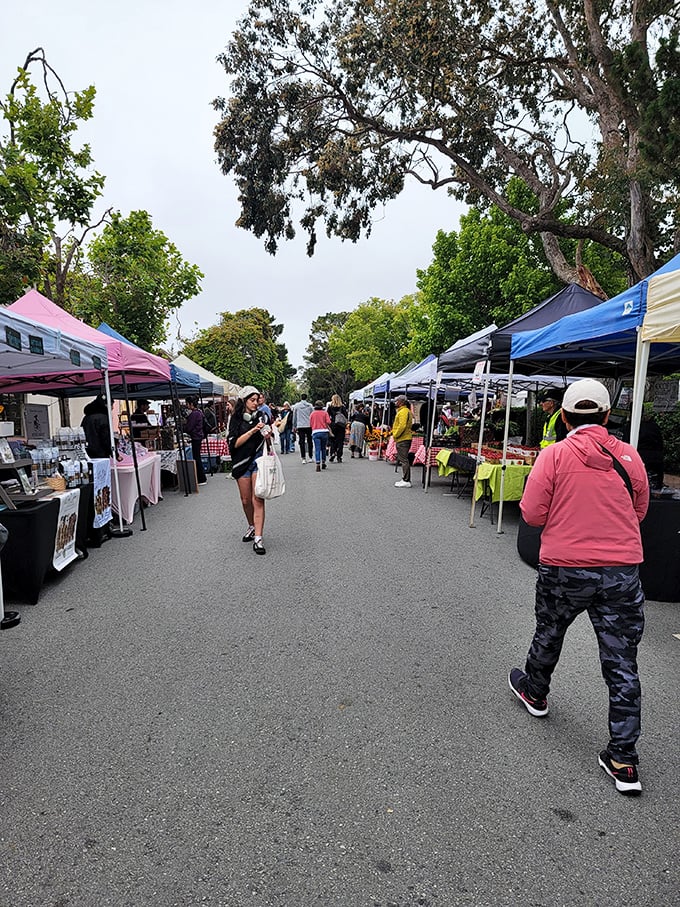 Local farmers markets bring community together with fresh produce and neighborly California coastal spirit.