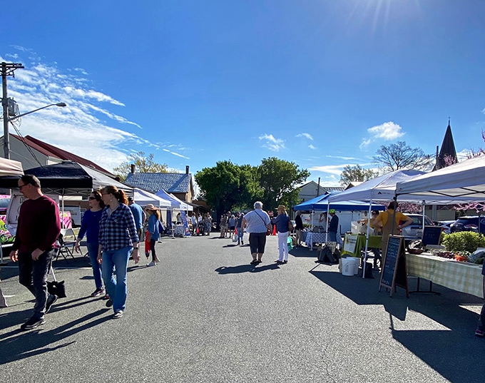The farmers market transforms an ordinary street into a bustling bazaar where the distance between farm and table is measured in footsteps rather than miles.