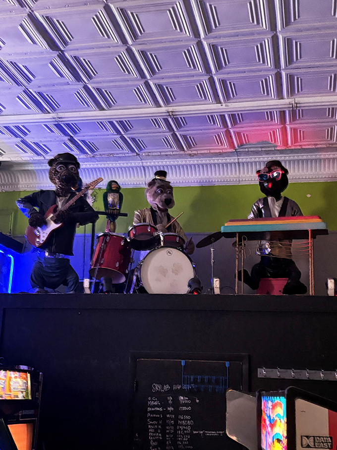 Not your average house band&mdash;these animatronic performers deliver tunes with a side of uncanny valley, creating memories both delightful and slightly disturbing.