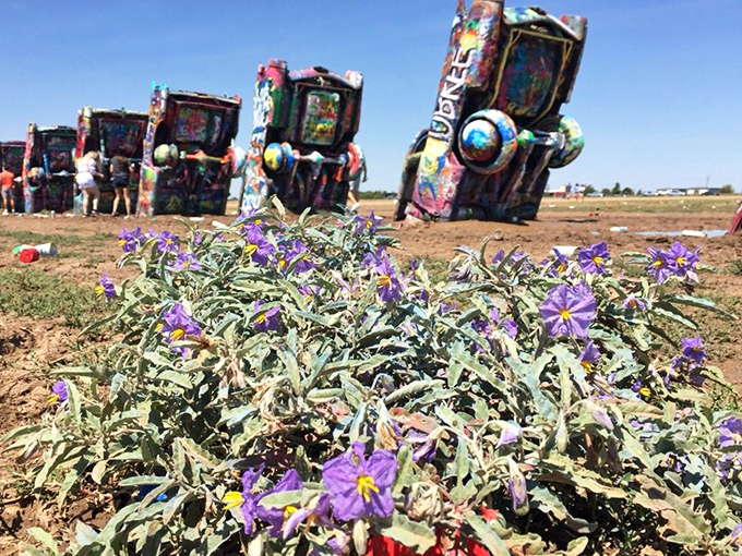 Nature finds a way, even in art. Delicate purple wildflowers create a striking contrast with the man-made metal monuments looming in the background.
