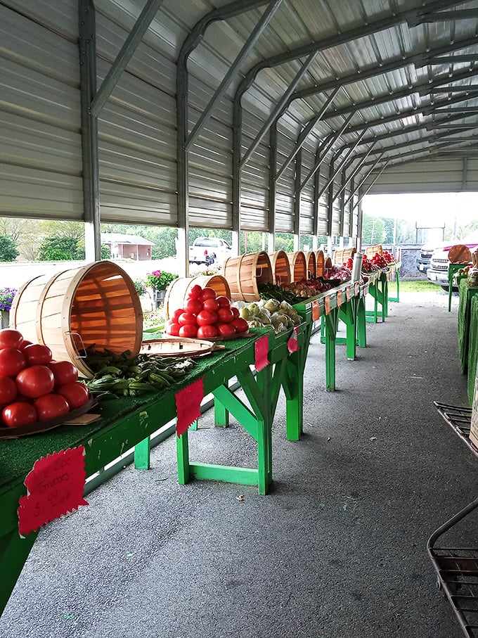 Farm-fresh produce displayed with pride&mdash;vegetables that remember what soil feels like and tomatoes that haven't forgotten their purpose.