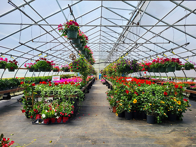 Essex's garden centers burst with color each spring, tempting even the most notorious plant-killers to try their hand at creating backyard Eden.