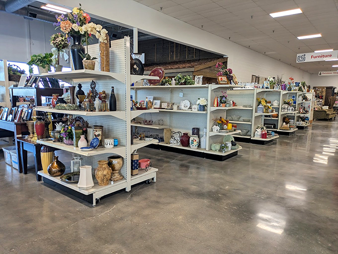 The home goods section: where one person's "no longer sparks joy" becomes another's "perfect for that empty shelf in the hallway."