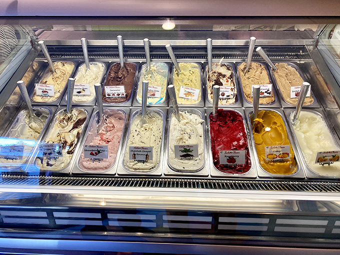 Ice cream flavors arranged with the precision of a color wheel. Choosing just one scoop feels like being asked to pick a favorite child.