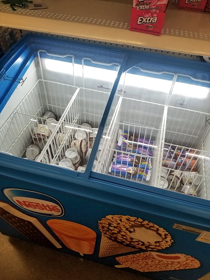 The freezer section holds ice cream treats that bring back childhood memories without the modern-day sticker shock.