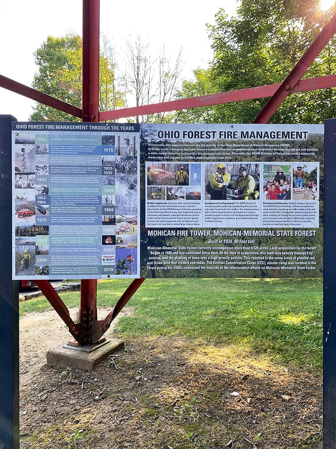 History lessons in the great outdoors. This sign about the Mohican Fire Tower tells tales of forest management that shaped the landscape we enjoy today.
