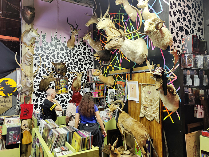 The taxidermy collection hangs like a surreal mobile above browsing visitors. Shopping for vinyl records while being watched by glass eyes is peak Savannah.