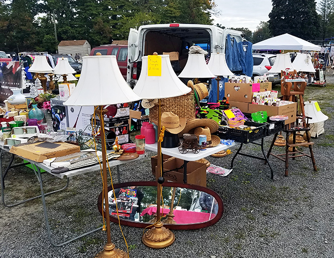 Vintage lamps stand tall among household miscellany, their shades like beacons guiding treasure hunters toward domestic illumination.