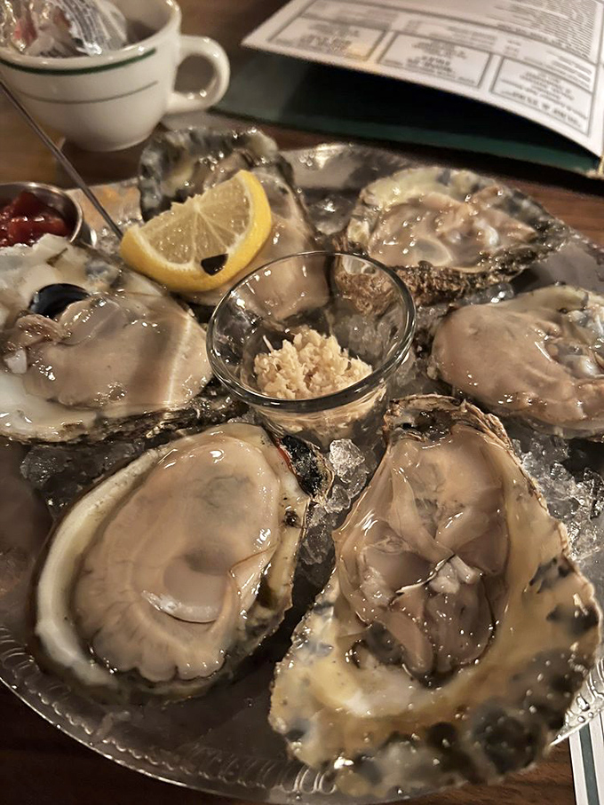 These oysters aren't just seafood&mdash;they're glistening jewels from the ocean, served with the simple respect that perfect ingredients deserve.