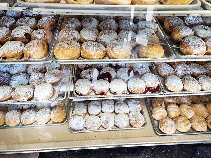 Powdered sugar paczki donuts waiting patiently in their trays&mdash;little pillows of fried perfection with sweet surprises inside.