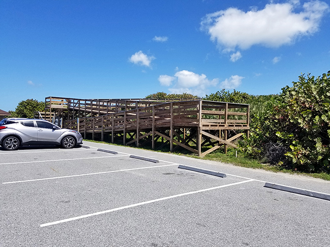 The parking lot's modesty belies the magnificence beyond. No valet service, just vehicles pointed toward adventure.