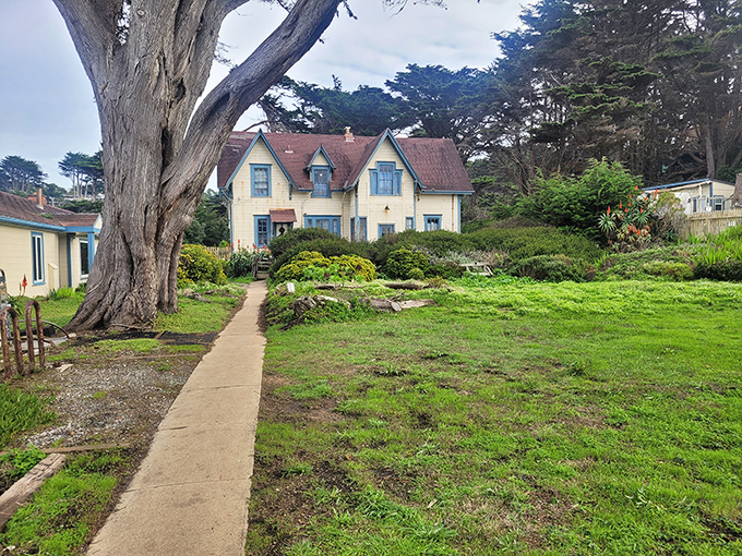 Follow the yellow brick road—er, concrete path—to one of California's most charming hostels. The massive cypress tree stands guard like an ancient doorman.
