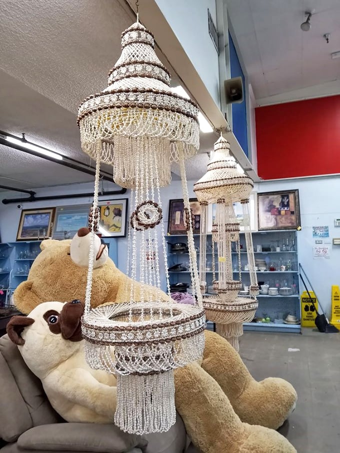 These shell chandeliers hang like oceanic jewelry, ready to transform an ordinary room into something from a beachside fantasy.