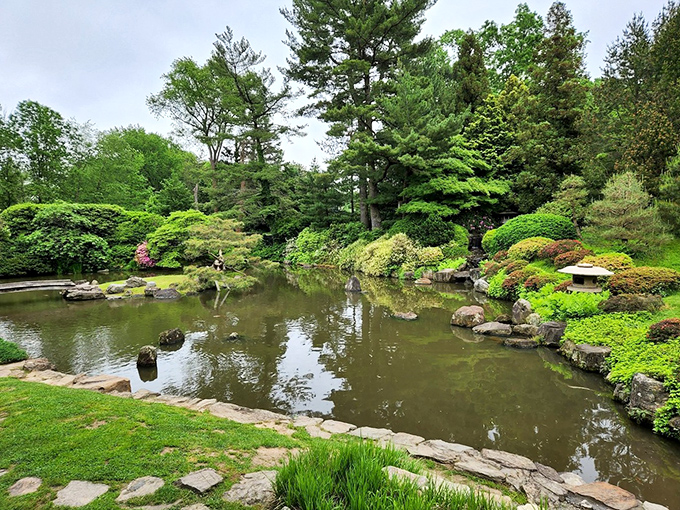 The pond reflects the surrounding greenery like nature's mirror, doubling the beauty without an ounce of vanity.
