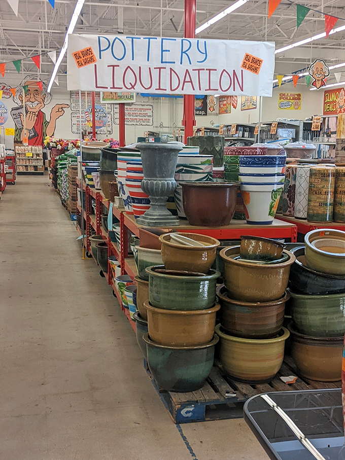 Garden pottery paradise where Florida plant parents can house their green babies in style without draining the retirement fund.