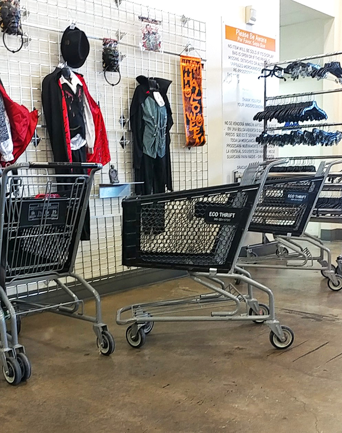 Shopping carts become treasure chests on wheels, ready to haul away your carefully curated secondhand discoveries.