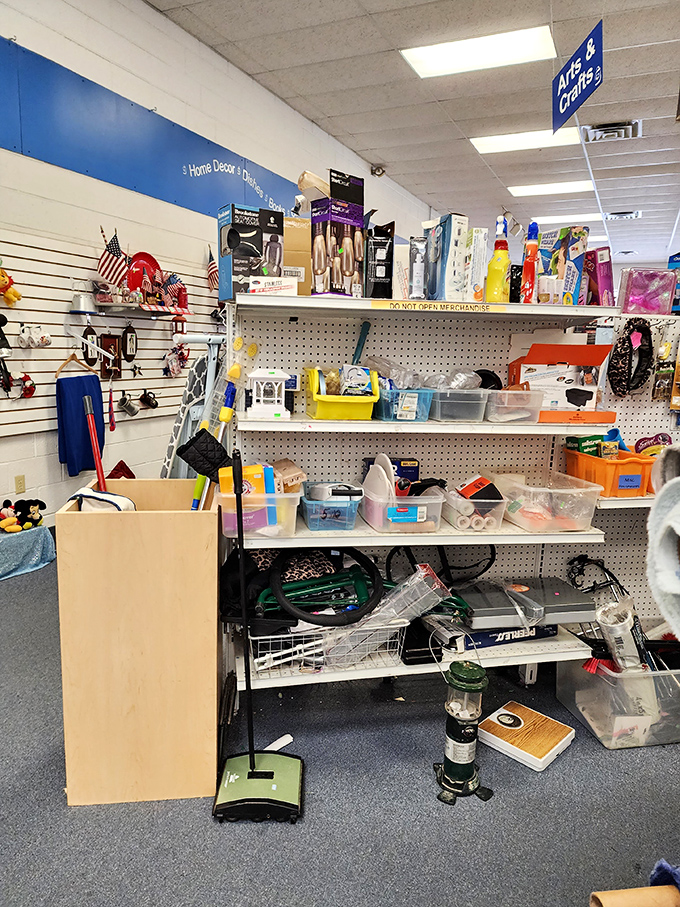 The craft section: where DIY dreams and Pinterest fails begin with equal enthusiasm. That green vacuum might actually make cleaning fun!