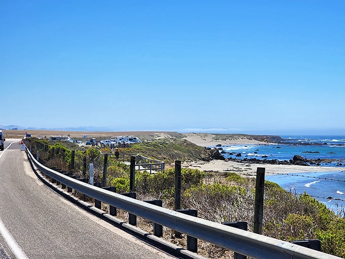 The guardrail serves as a thin boundary between civilization and wilderness. One side represents safety; the other, the call of untamed beauty.