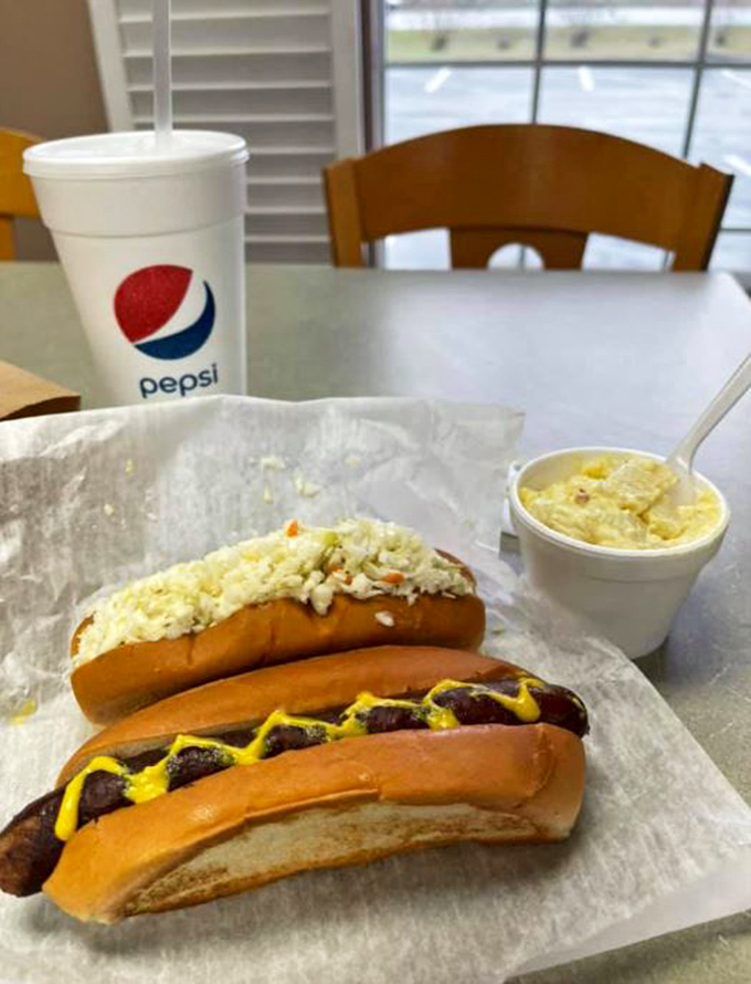 A study in contrasts: the classic simplicity of a mustard dog alongside the indulgent glory of a chili cheese creation, with slaw standing by for textural support.
