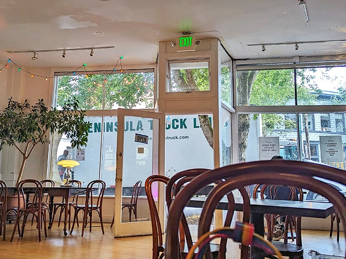 String lights, abundant natural light, and bentwood chairs create the kind of space where you plan to stay for twenty minutes but accidentally spend three hours.