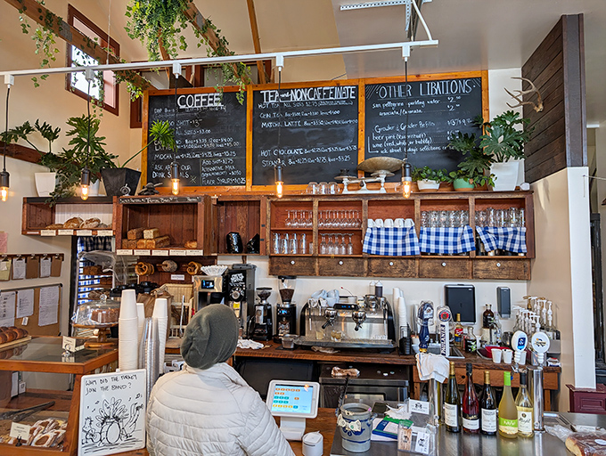 Behind the counter, chalkboard menus and hanging plants create that "I've discovered something special" feeling that makes neighborhood gems so precious.