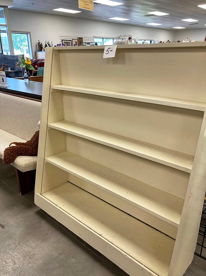 An empty bookshelf holds infinite potential, like a blank canvas waiting for your collection to give it purpose.