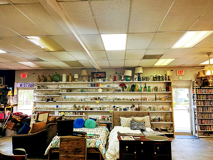 Floor-to-ceiling shelves showcase an incredible variety of collectibles, books, and household items that change with every visit to the store.
