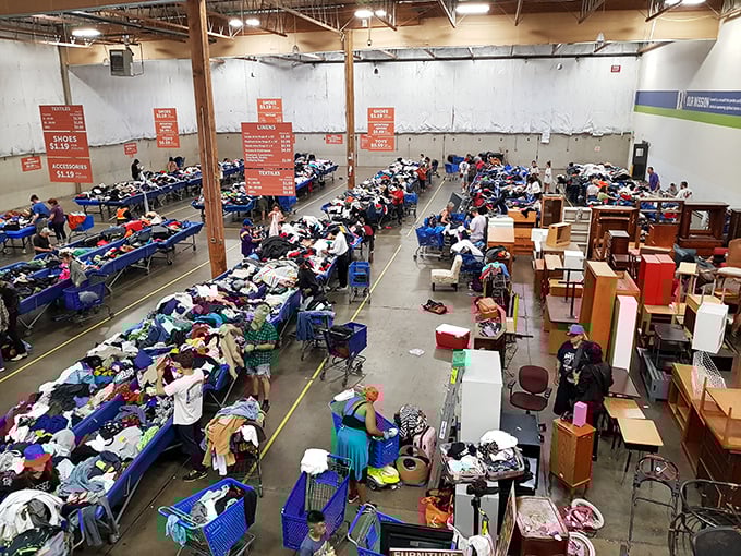 The warehouse expanse stretches like an archaeological dig of American consumerism, with treasures buried at every level.