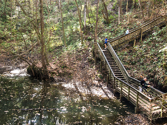 These stairs aren't just a way down &ndash; they're a stairway to an underground ecosystem that feels like it was borrowed from another continent entirely.