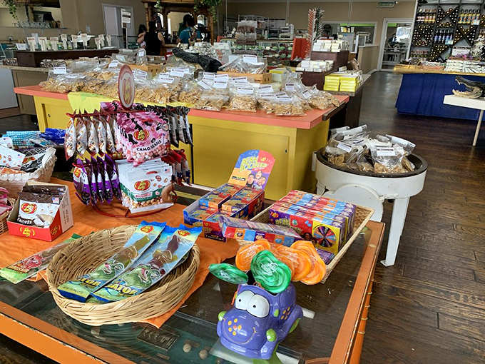 A colorful cornucopia of candies and novelties creates a playground for your inner child, who's jumping up and down screaming "Can we get some?"