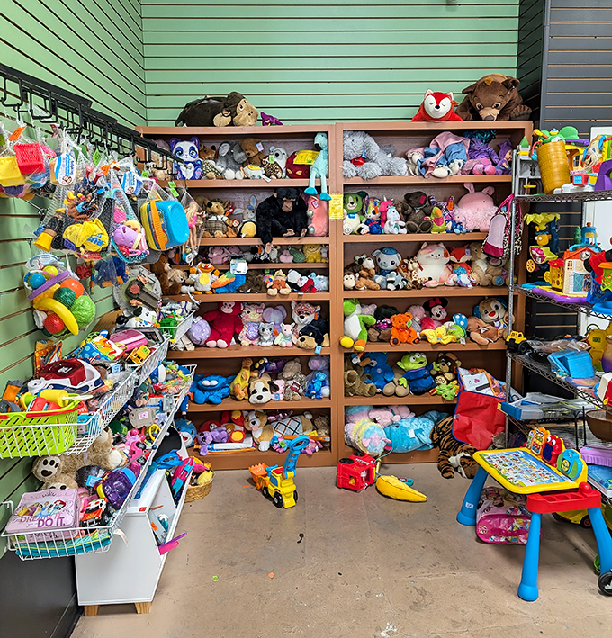 Stuffed animal adoption center where every plush friend deserves a second chance at being loved.