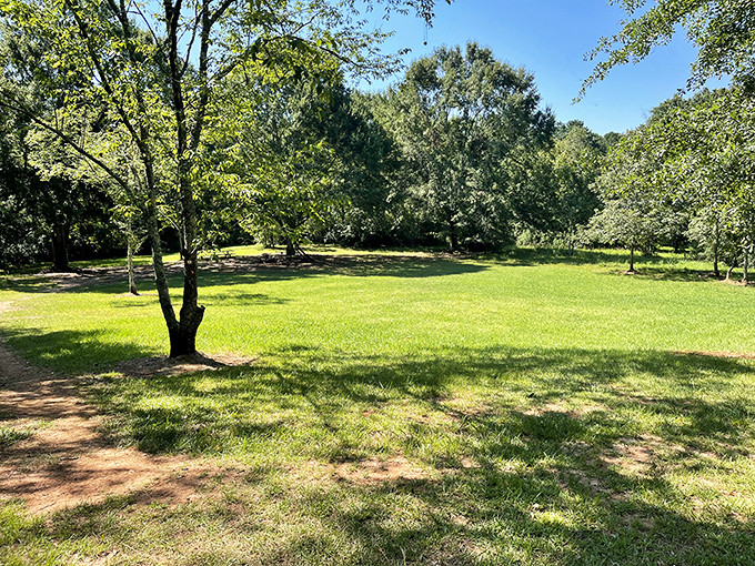 Mother Nature's living room &ndash; where the carpet is always freshly mowed and the ceiling is an ever-changing masterpiece of blue and green.