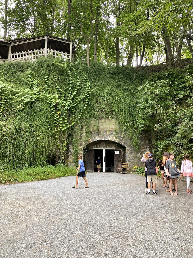 Visitors gather at the entrance, about to trade sunshine for the cool embrace of Earth's underground kingdom.