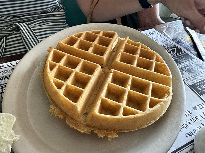 A Belgian waffle in its purest form, golden and glorious, ready to make your taste buds sing.