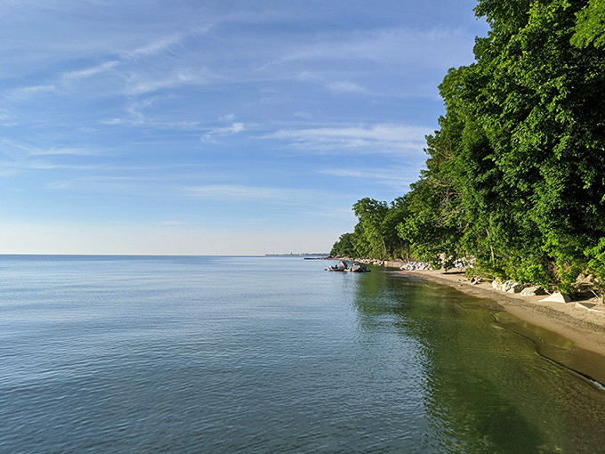 Where forest meets shoreline in perfect harmony. Glencoe Beach's tree-lined coast offers a refreshing alternative to the typical wide-open beach experience.