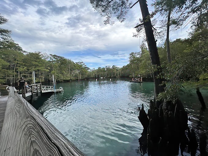 The dock of dreams. One step onto these weathered boards and suddenly your biggest decision is "swim now or swim later?"