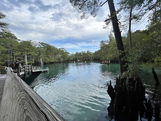 The dock of dreams. One step onto these weathered boards and suddenly your biggest decision is "swim now or swim later?"