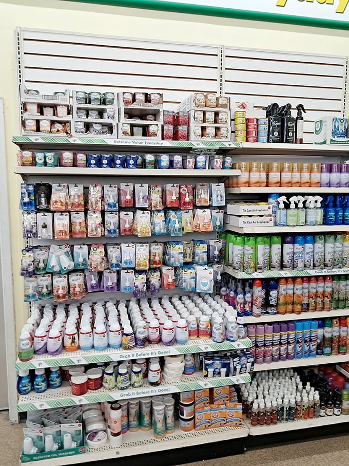 The air freshener section&mdash;a fragrance laboratory where "Mountain Breeze" and "Vanilla Dream" compete for olfactory dominance.