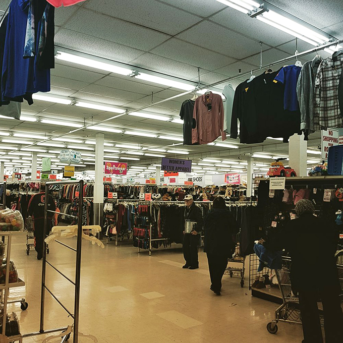 The thrifter's perspective—endless aisles of possibility where patience is rewarded and shopping carts fill with unexpected treasures.