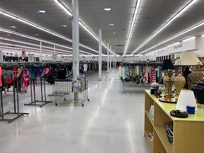 The vastness of CommunityAid becomes apparent when you gaze down its well-organized aisles, each one promising new discoveries.