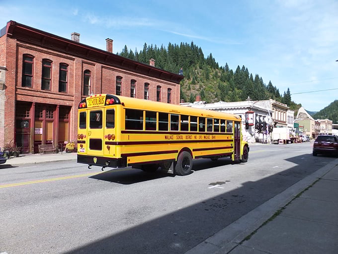 A classic yellow school bus cruises past brick buildings that have stood since the silver mining boom, adding a splash of color to Wallace's historic streetscape.