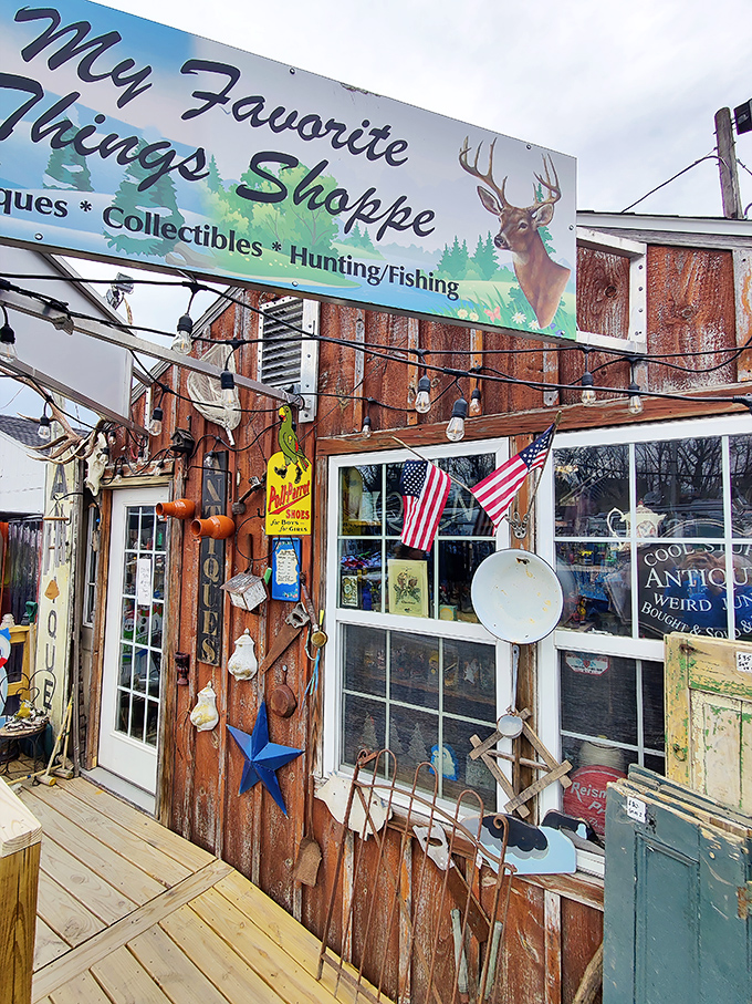 "My Favorite Things Shoppe" captures the beautiful chaos of American collecting &ndash; one person's kitsch is another's must-have treasure.