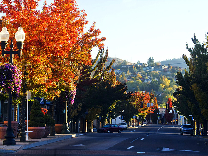 Autumn paints Main Street in fiery hues, creating a golden canopy above the historic downtown where mountain views peek between buildings.