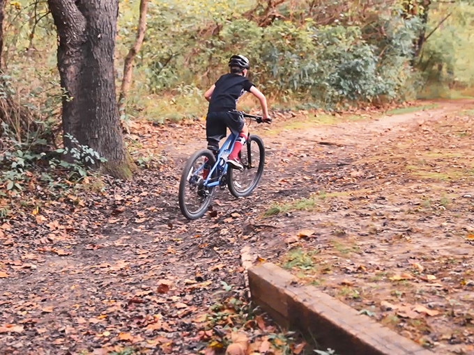 Fall trail riding in the nearby Ozark foothills offers visitors exhilarating escapes through tunnels of golden and crimson foliage.