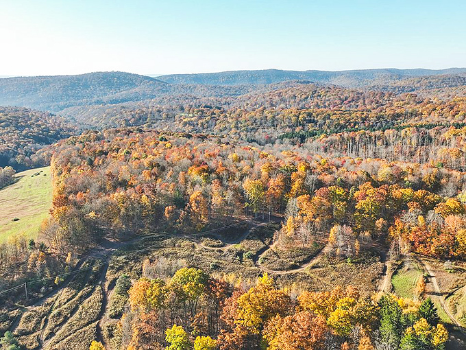 Autumn paints the Pennsylvania Wilds surrounding Emporium with nature's most vibrant palette&mdash;a masterpiece that changes daily in October.
