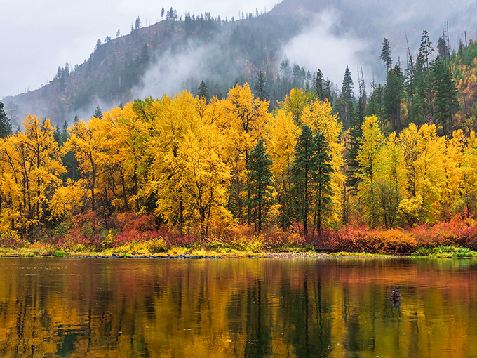 Autumn in Winthrop isn't just a season—it's a spectacular performance where every tree competes for the title of "Most Dramatically Colorful."