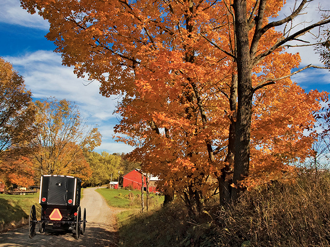 Autumn in Amish Country &ndash; where vibrant maple trees provide the perfect backdrop for a horse and buggy, reminding us that some traditions are worth preserving.