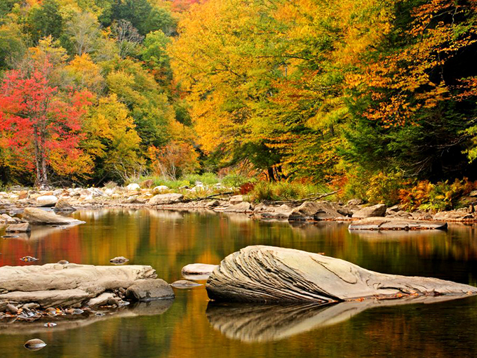 Autumn transforms the Clarion River into nature's most perfect mirror, doubling the visual impact of those spectacular colors. Those rocks have witnessed centuries of seasonal changes, standing like patient sentinels.