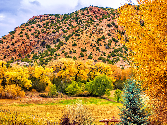 Autumn transforms the landscape into a painter's palette of golds and ambers, creating postcard-worthy scenes that showcase New Mexico's seasonal beauty.