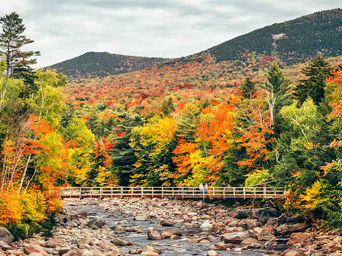 Fall in New Hampshire isn't just a season – it's a spectacular show. Claremont's surrounding forests burst into colors that make professional photographers weak at the knees.